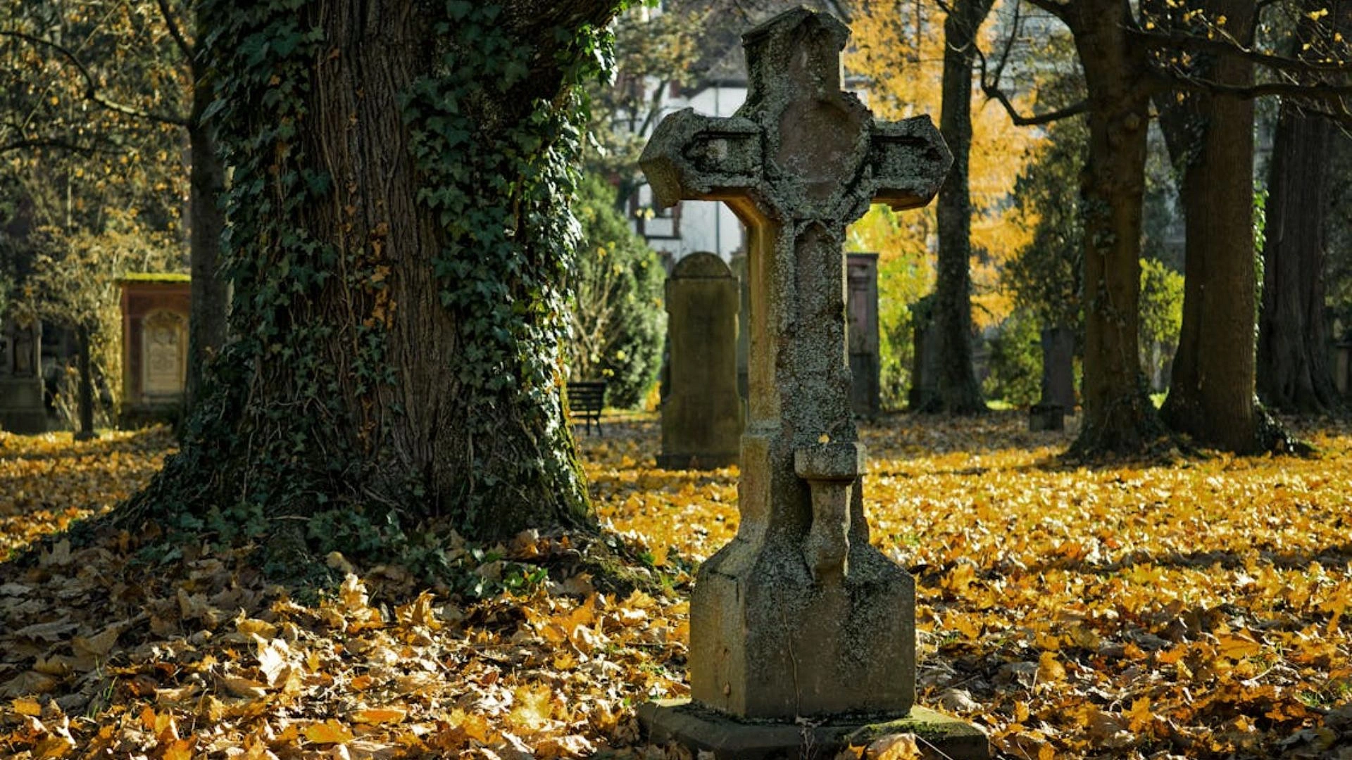 5 najpiękniejszych polskich cmentarzy. Miejsca pełne zadumy, zieleni i ...